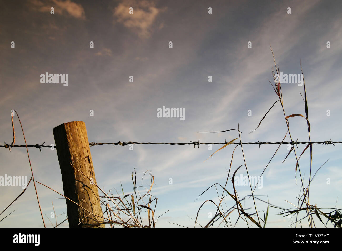 Wire on fence hi-res stock photography and images - Alamy