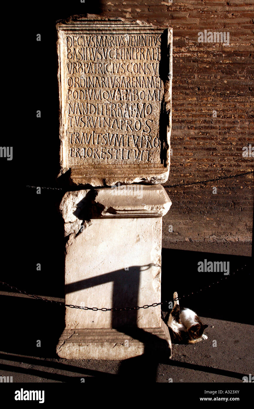 Gladiator entrance arena High Resolution Stock Photography and Images ...