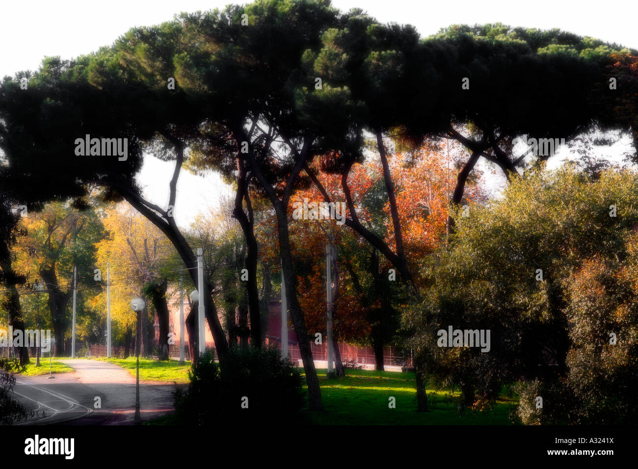 Landscape of Farnese Gardens near the Roman Colosseum Rome Italy Stock ...