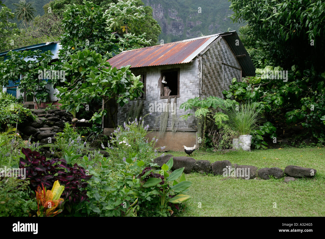 Thatched home Hanavave Island of Fatu Hiva Marquesas Islands French ...