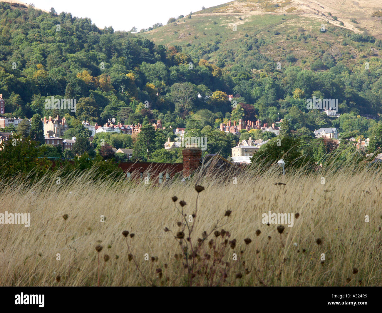 View of Malvern and the hills with grassland on the common in the ...