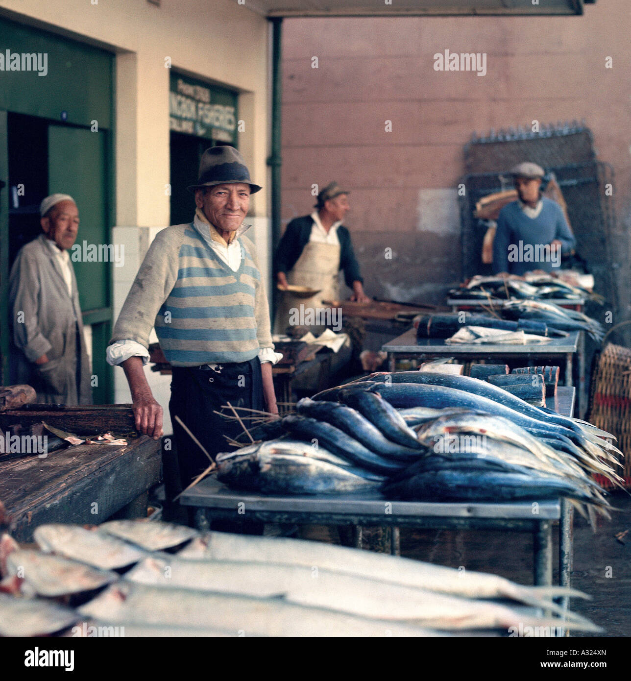 Fishmonger, District Six, Cape Town, South Africa (1970's Stock Photo ...