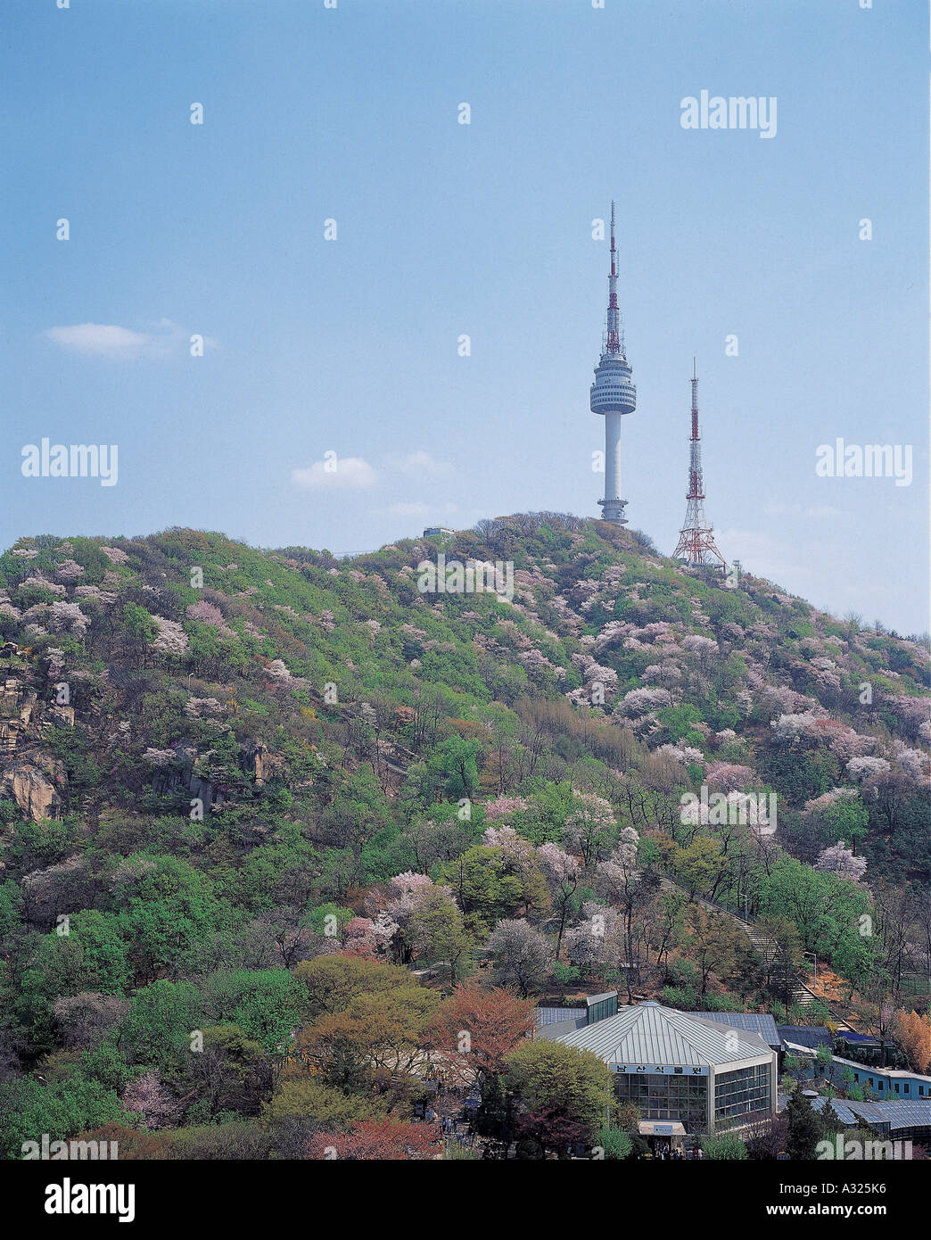 View seoul tower in spring hi-res stock photography and images - Alamy