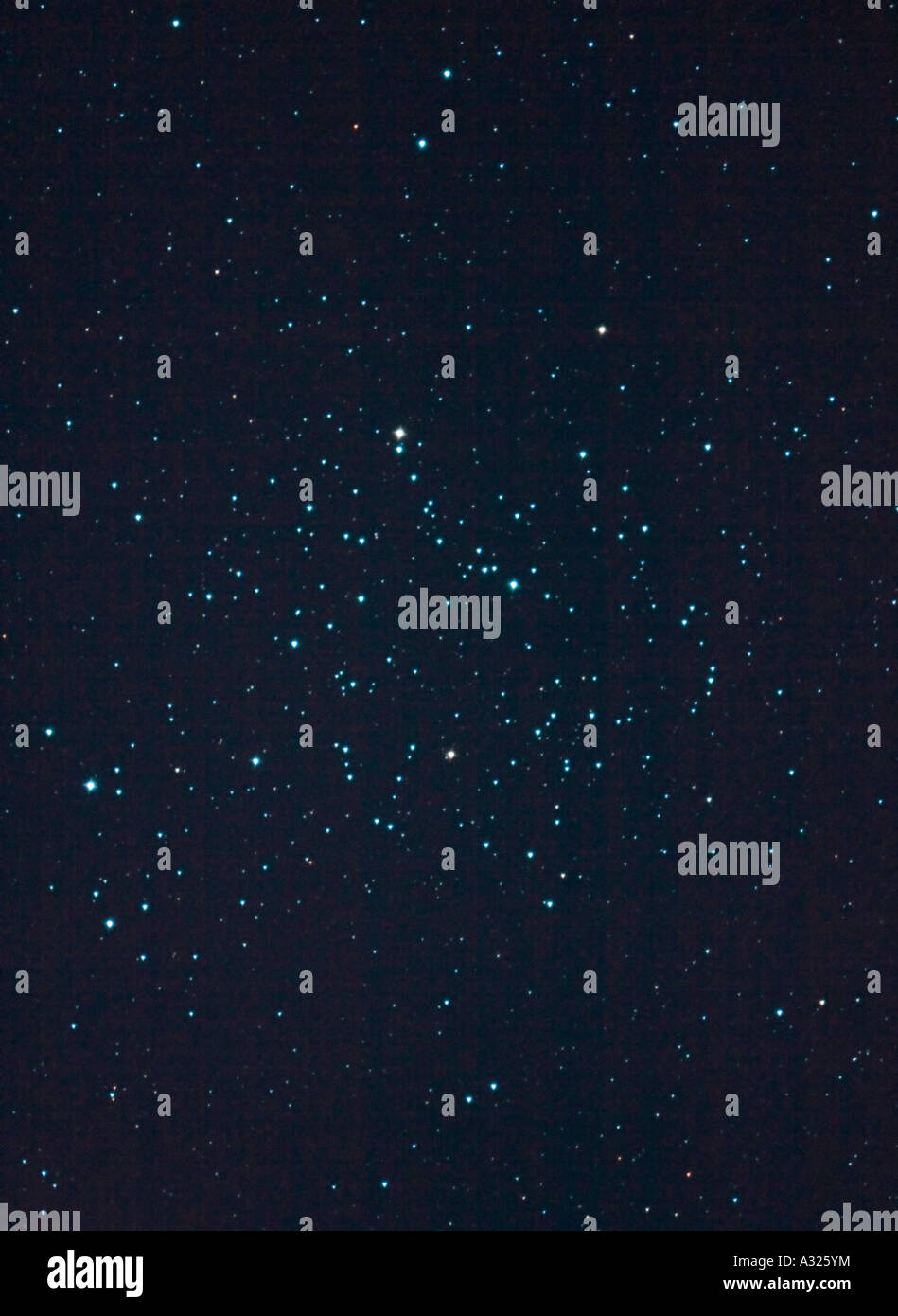 M67 open cluster, NGC 2682 King Cobra, in the constellation Cancer ...