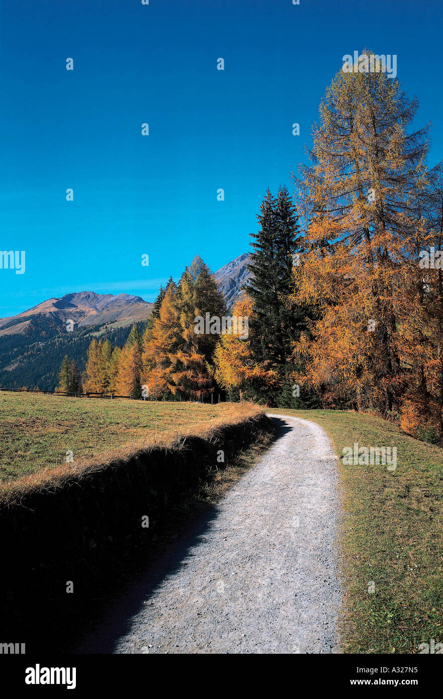 Maple corner farm hi-res stock photography and images - Alamy