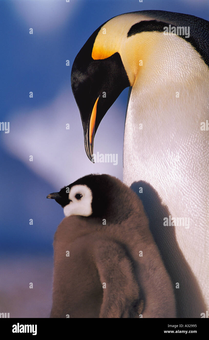 Atka bay hi-res stock photography and images - Alamy