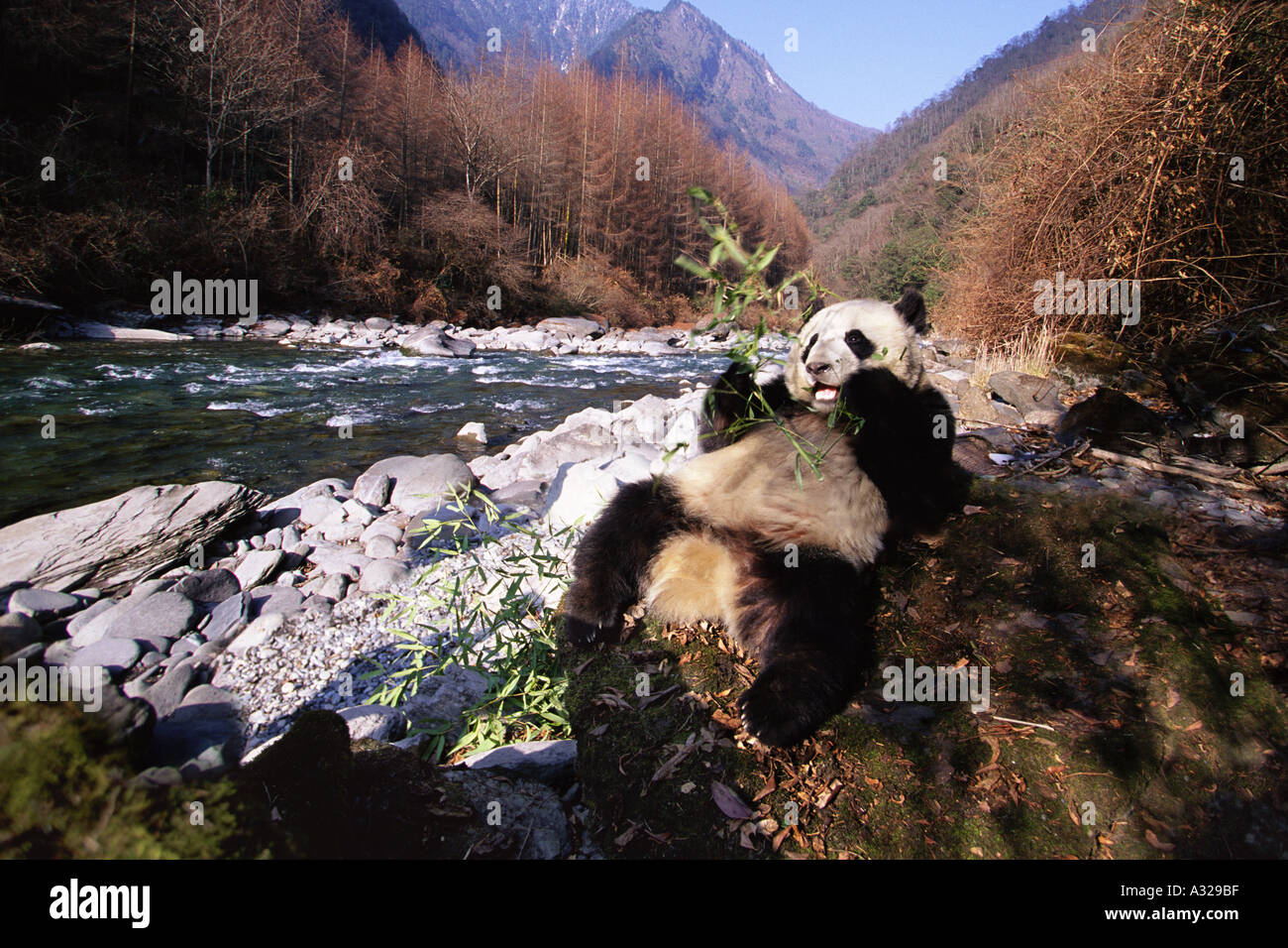 Beside hi-res stock photography and images - Alamy