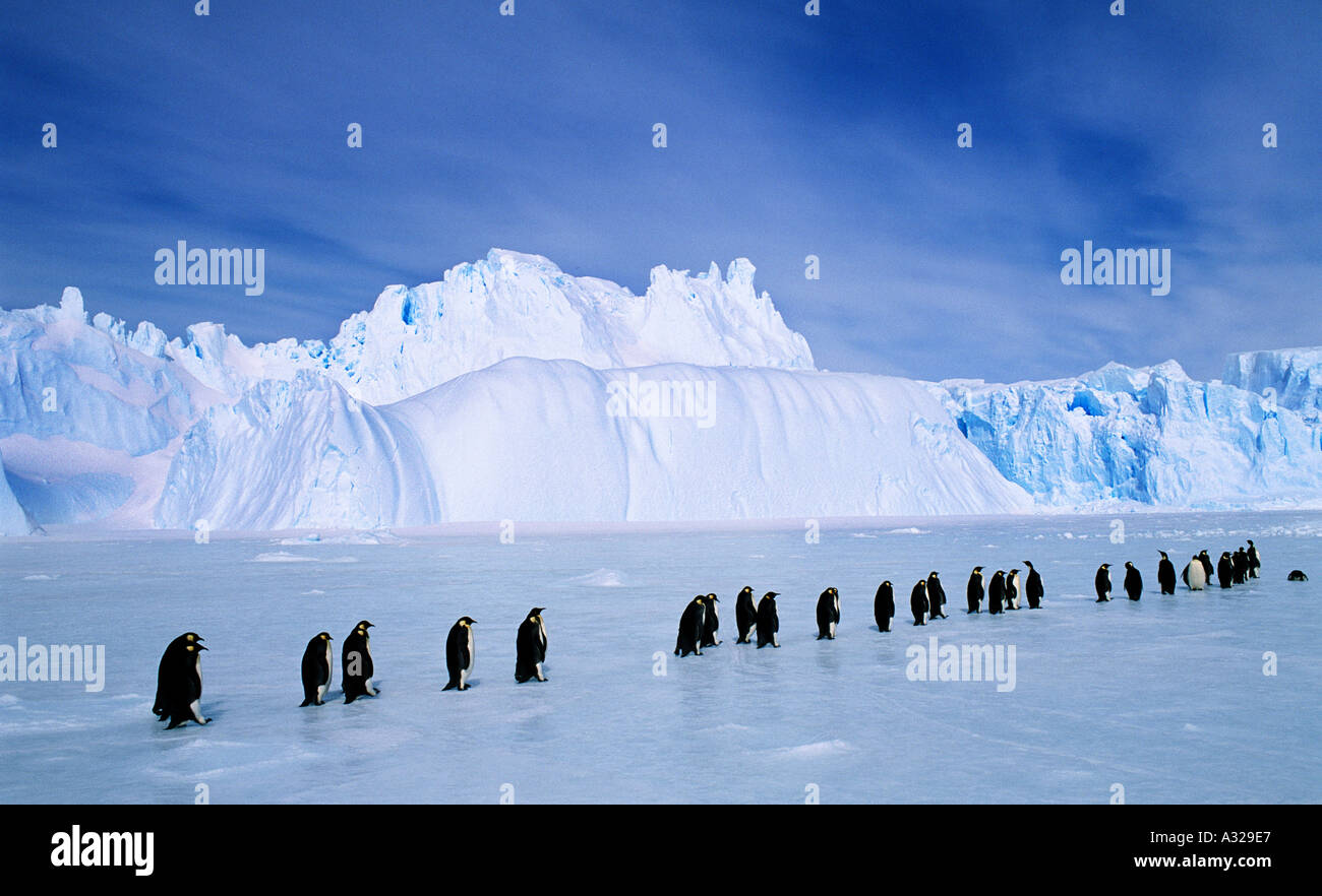 Amanda hi-res stock photography and images - Alamy