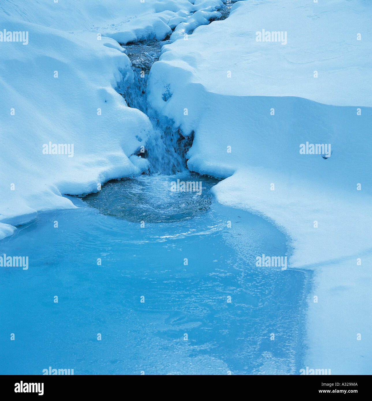Little stream in the brook covered with snow Stock Photo - Alamy