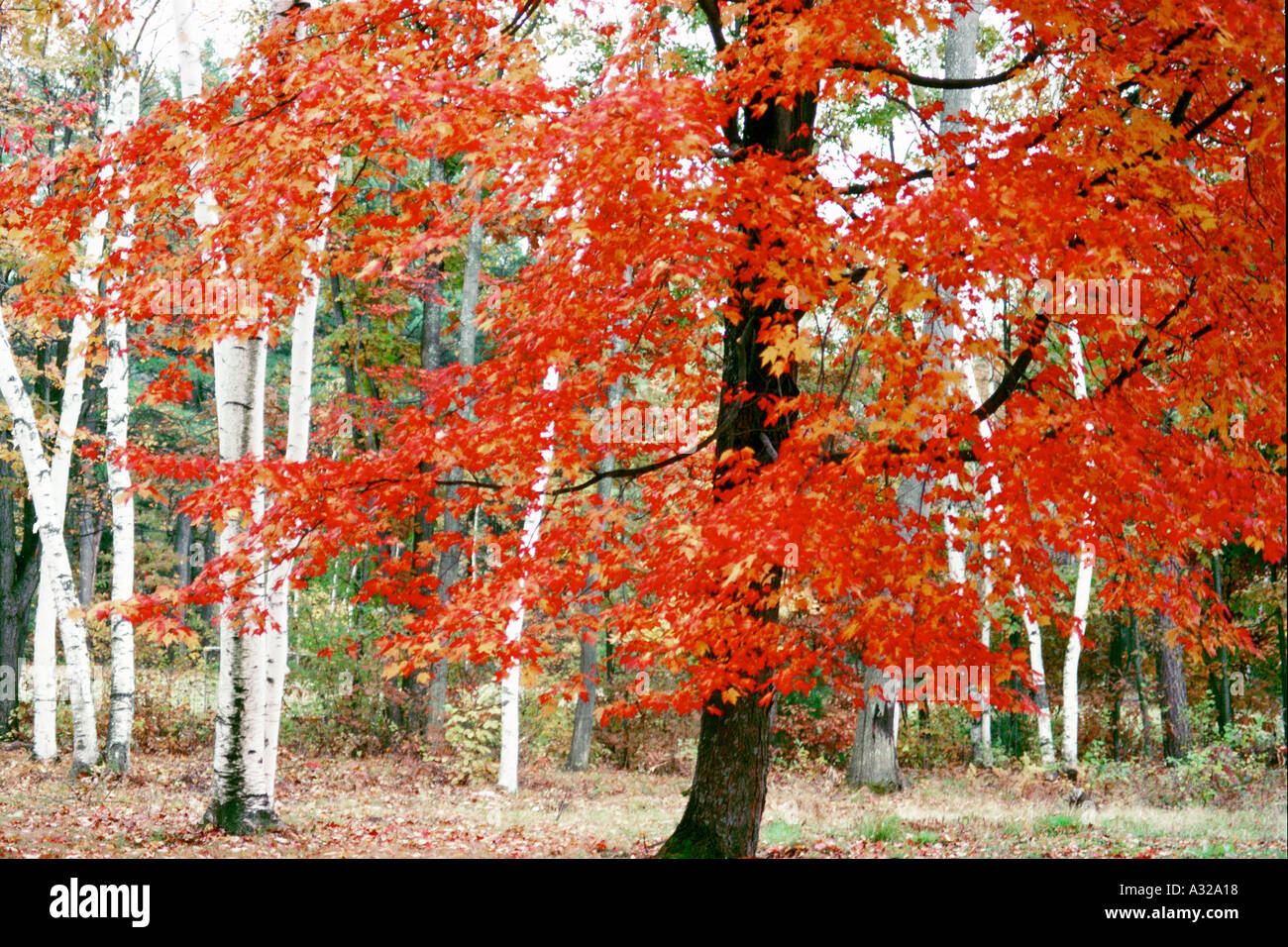Fall Colors New England United States of America Stock Photo - Alamy