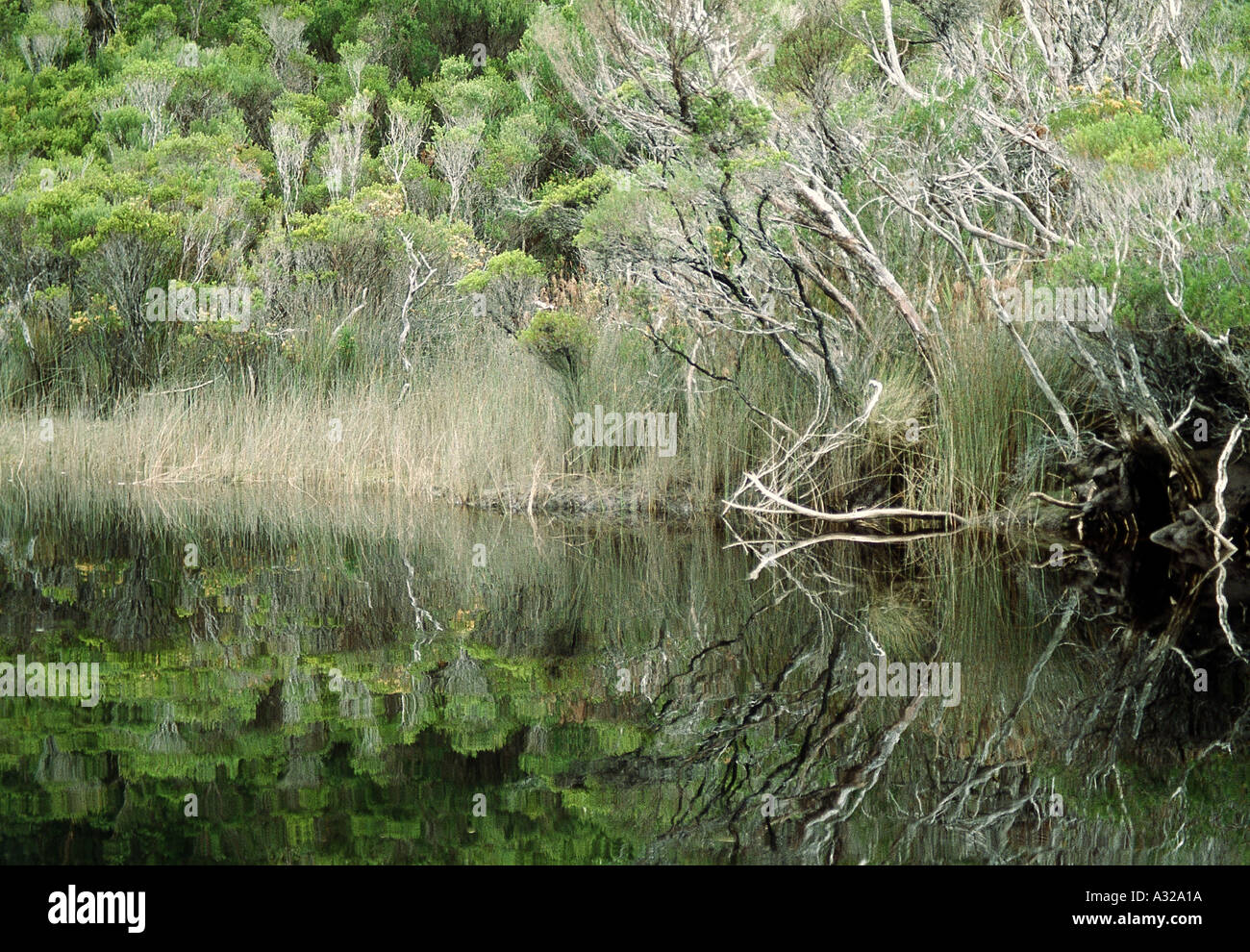 Port Davey National Park Tasmania Australia Stock Photo - Alamy