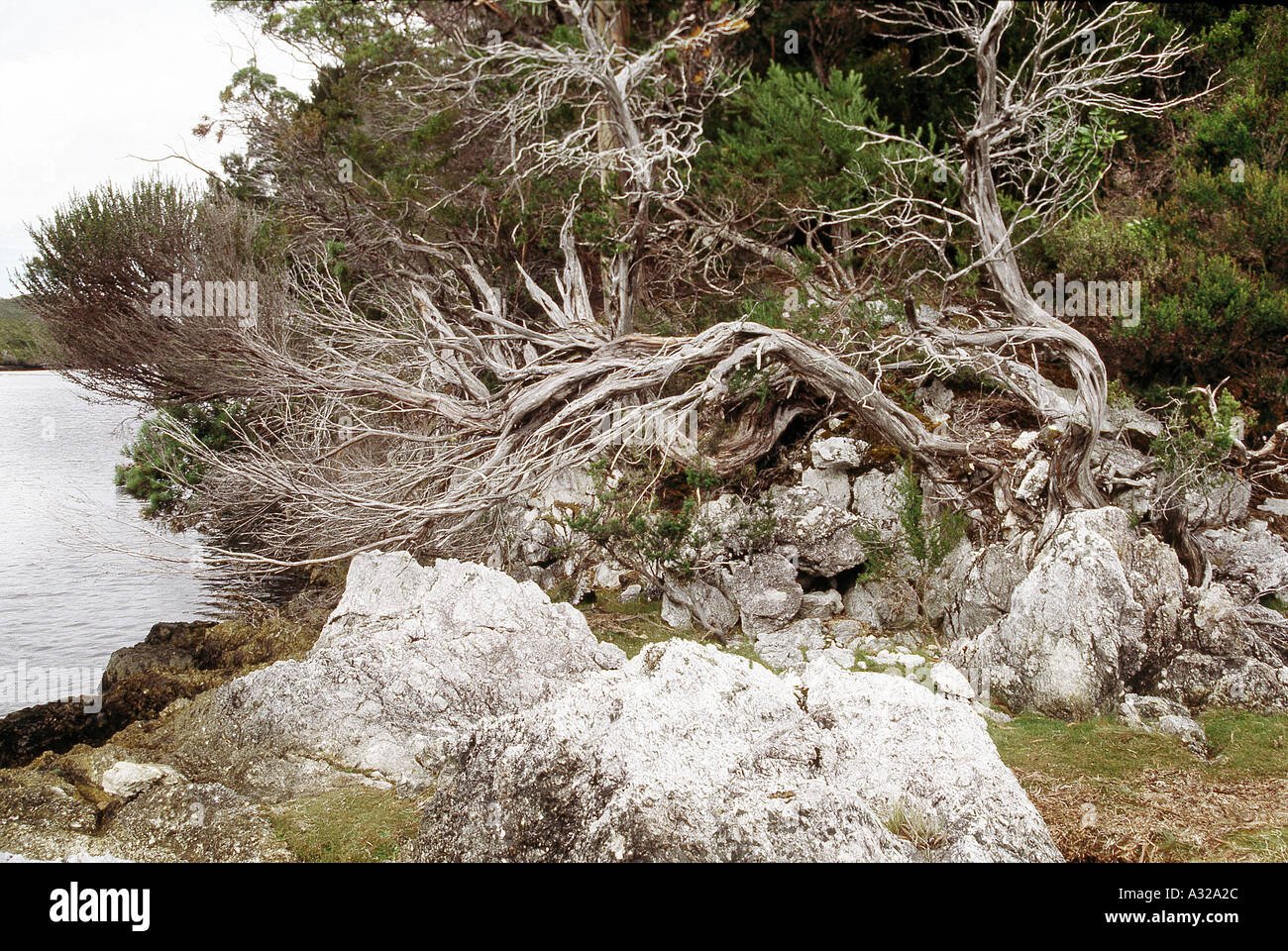 Port davey tasmania hi-res stock photography and images - Alamy