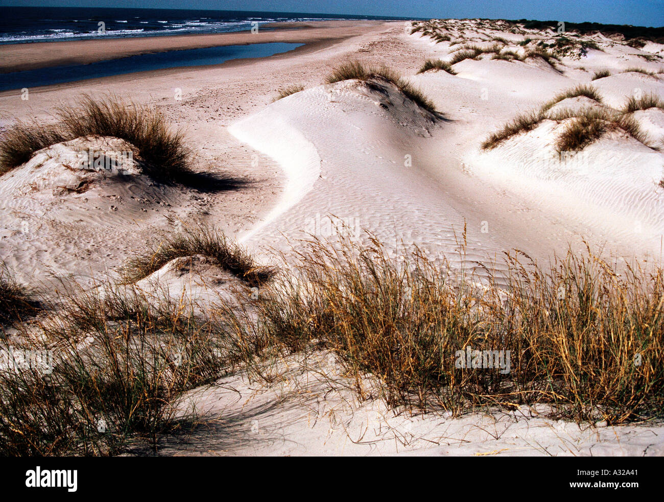 White Sand Dunes Kutch Gujarat India Stock Photo - Alamy