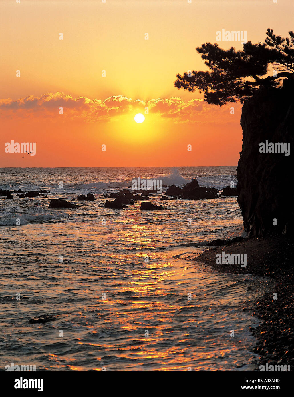 Pck02110 hi-res stock photography and images - Alamy