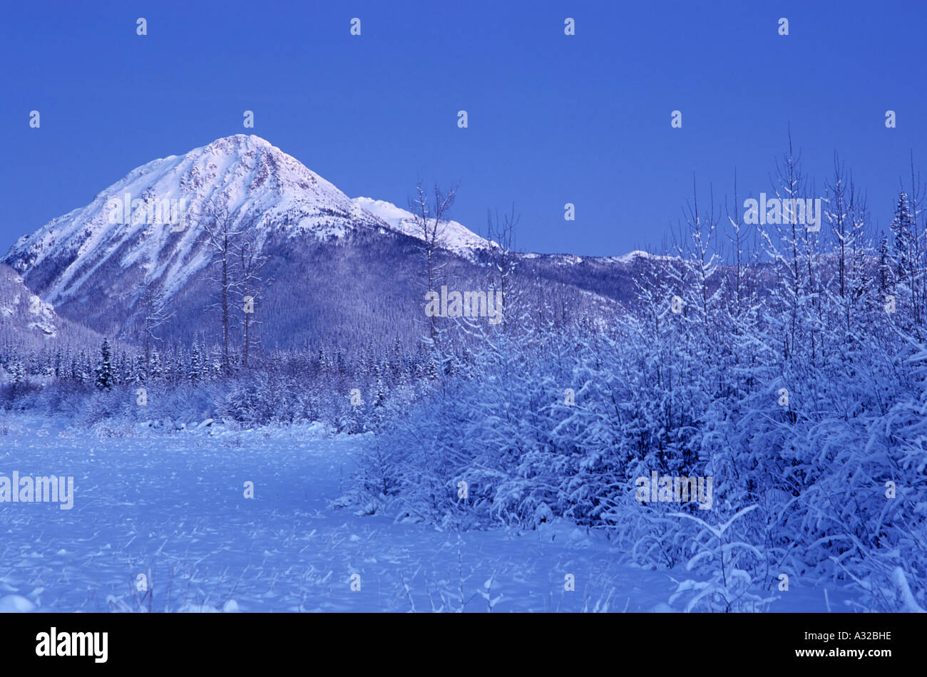 Onion Mountain at dusk Babine Mountains Provincial Park Smithers ...