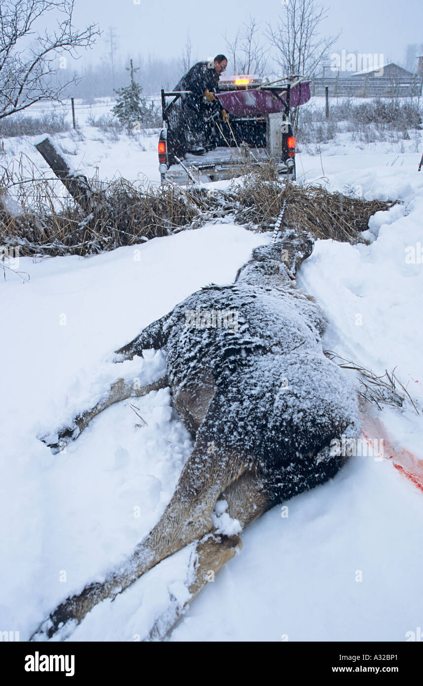 Bc conservation officer hi-res stock photography and images - Alamy