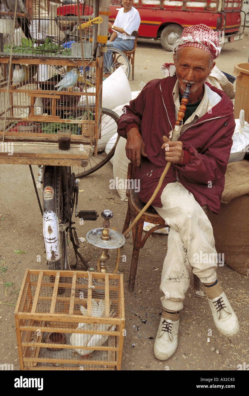 Smoking bird hi-res stock photography and images - Alamy