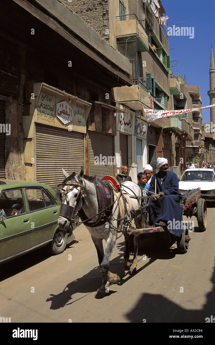 Horse drawn carriage taxi in Cairo Egypt Stock Photo - Alamy