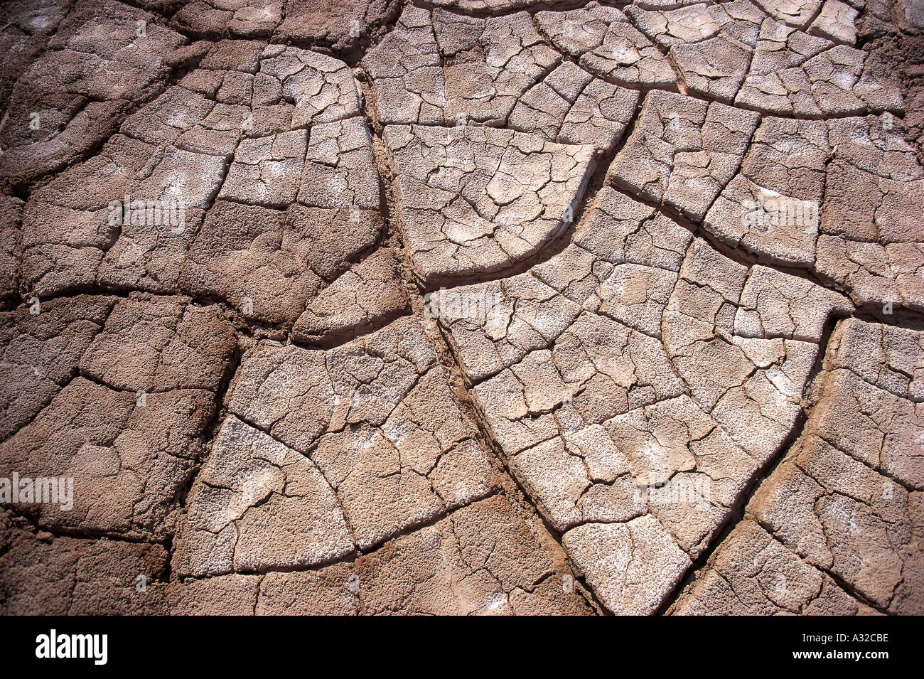 Wadi riverbed hi-res stock photography and images - Alamy