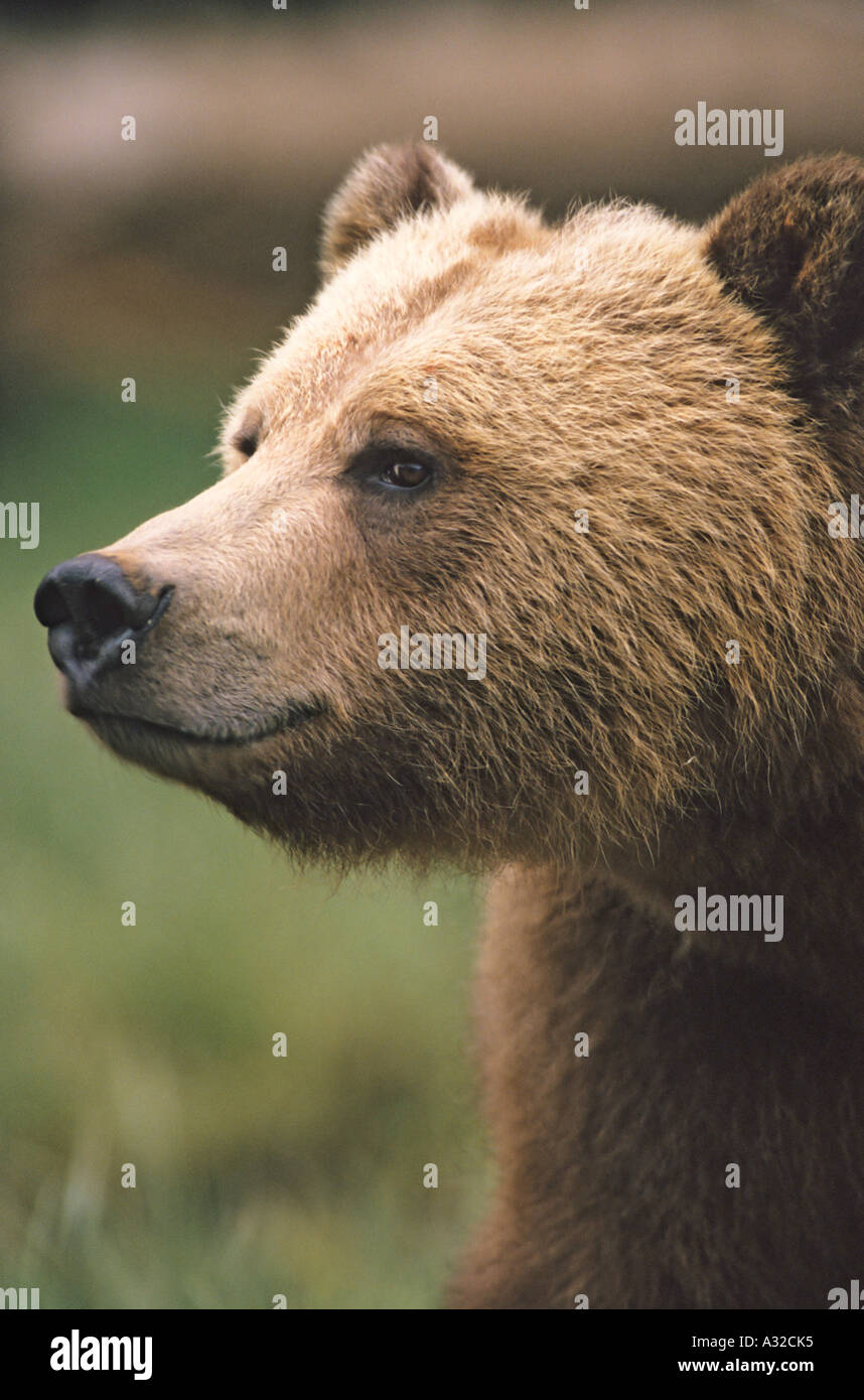 Knight inlet estuary hi-res stock photography and images - Alamy