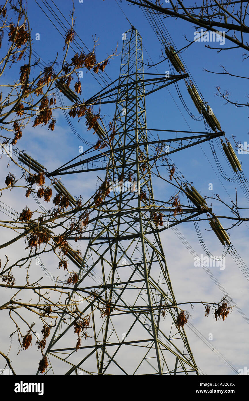 Electricity pylon set against blue sky and viewed through the leaves ...