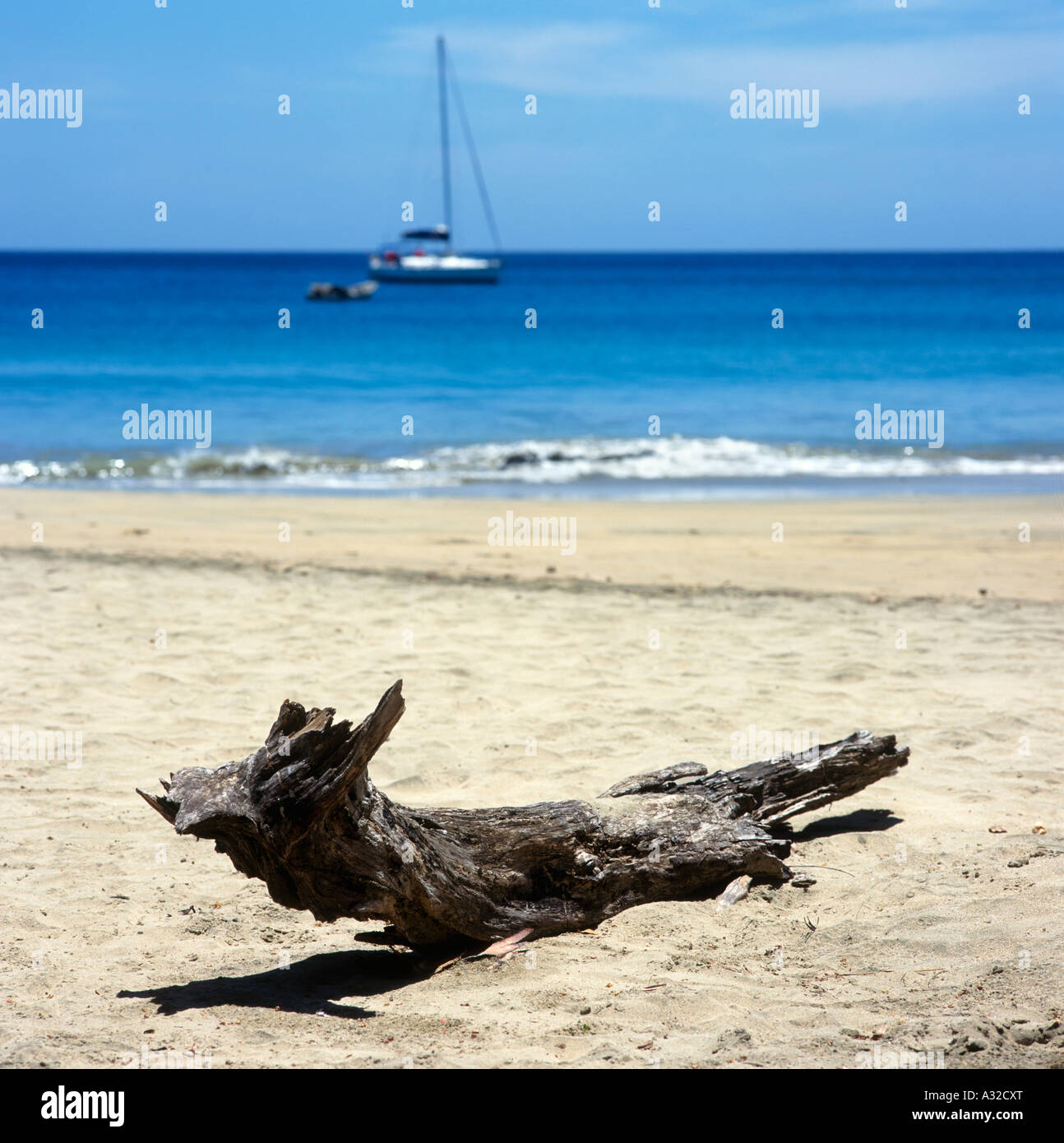 Driftwood on the beach at Mount Irvine Bay with a solitary yacht behind ...