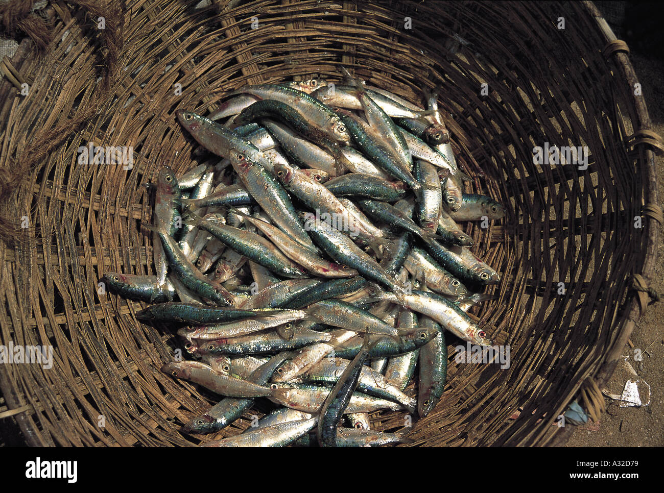 Basket for fish hi-res stock photography and images - Alamy
