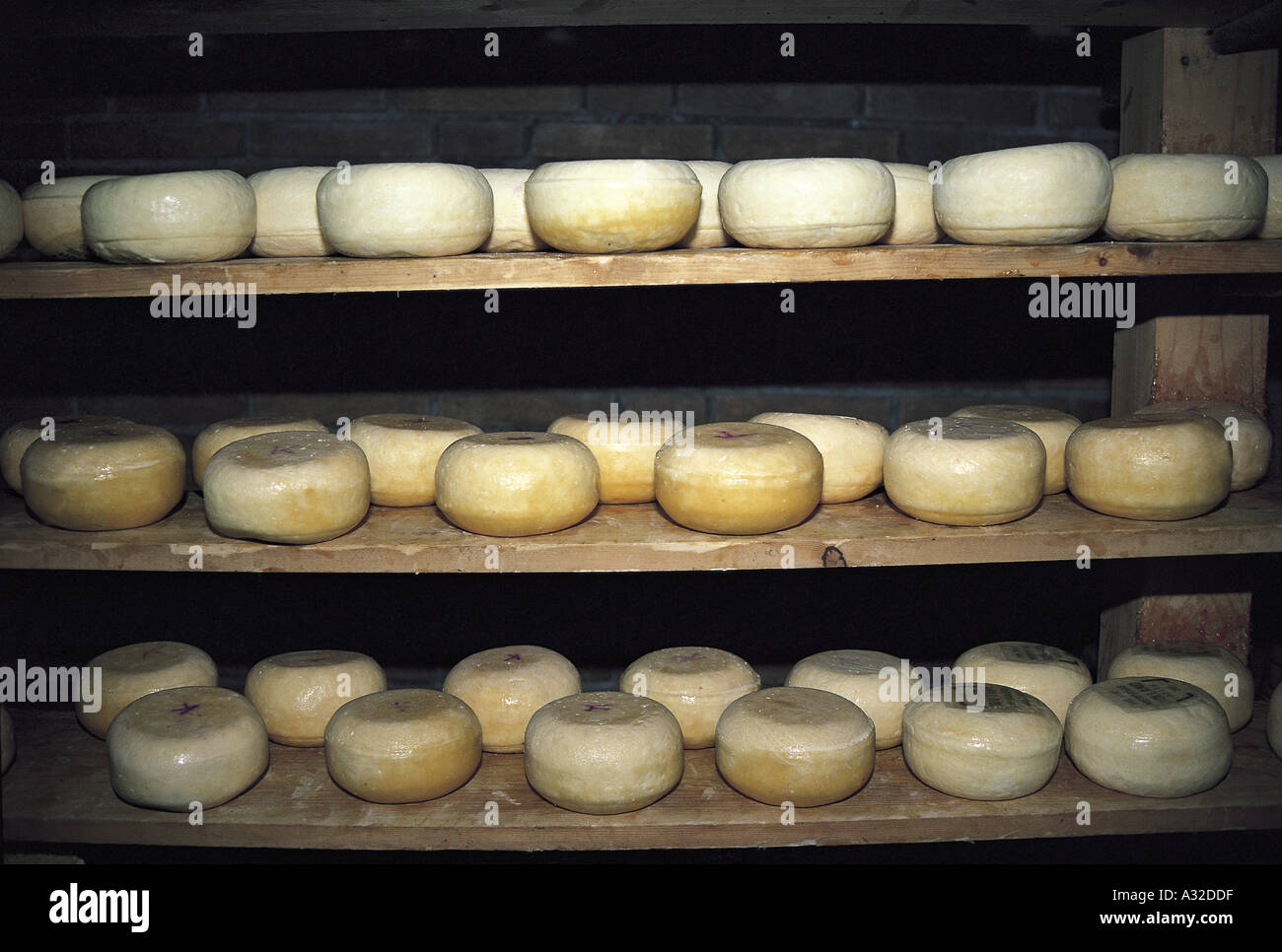 Cheese Farm Edam Stock Photo - Alamy