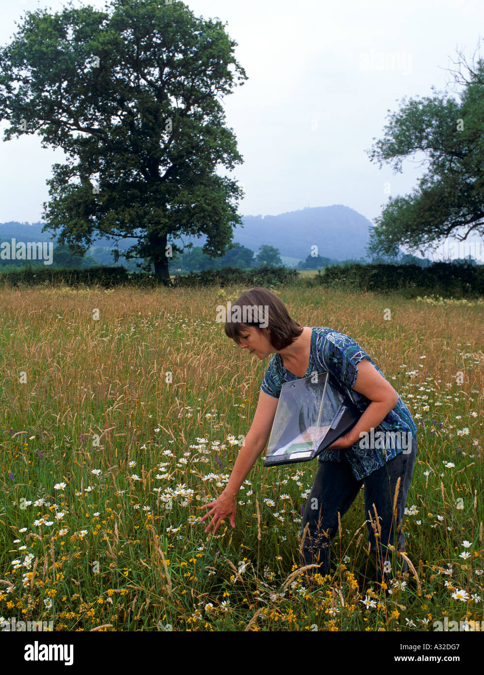 Careful habitat management hi-res stock photography and images - Alamy
