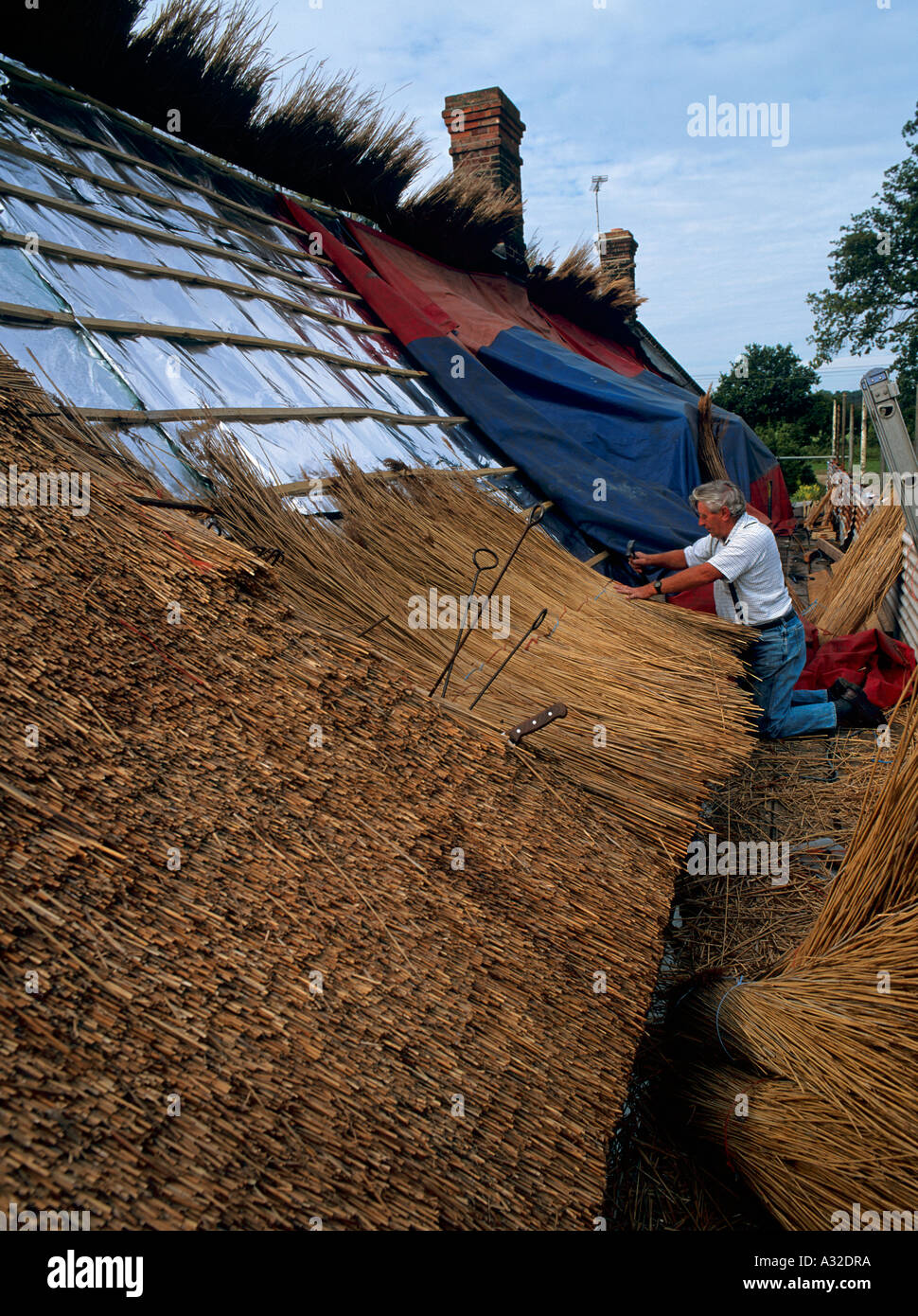 Thatching of cottage using reed Norfolk Stock Photo - Alamy