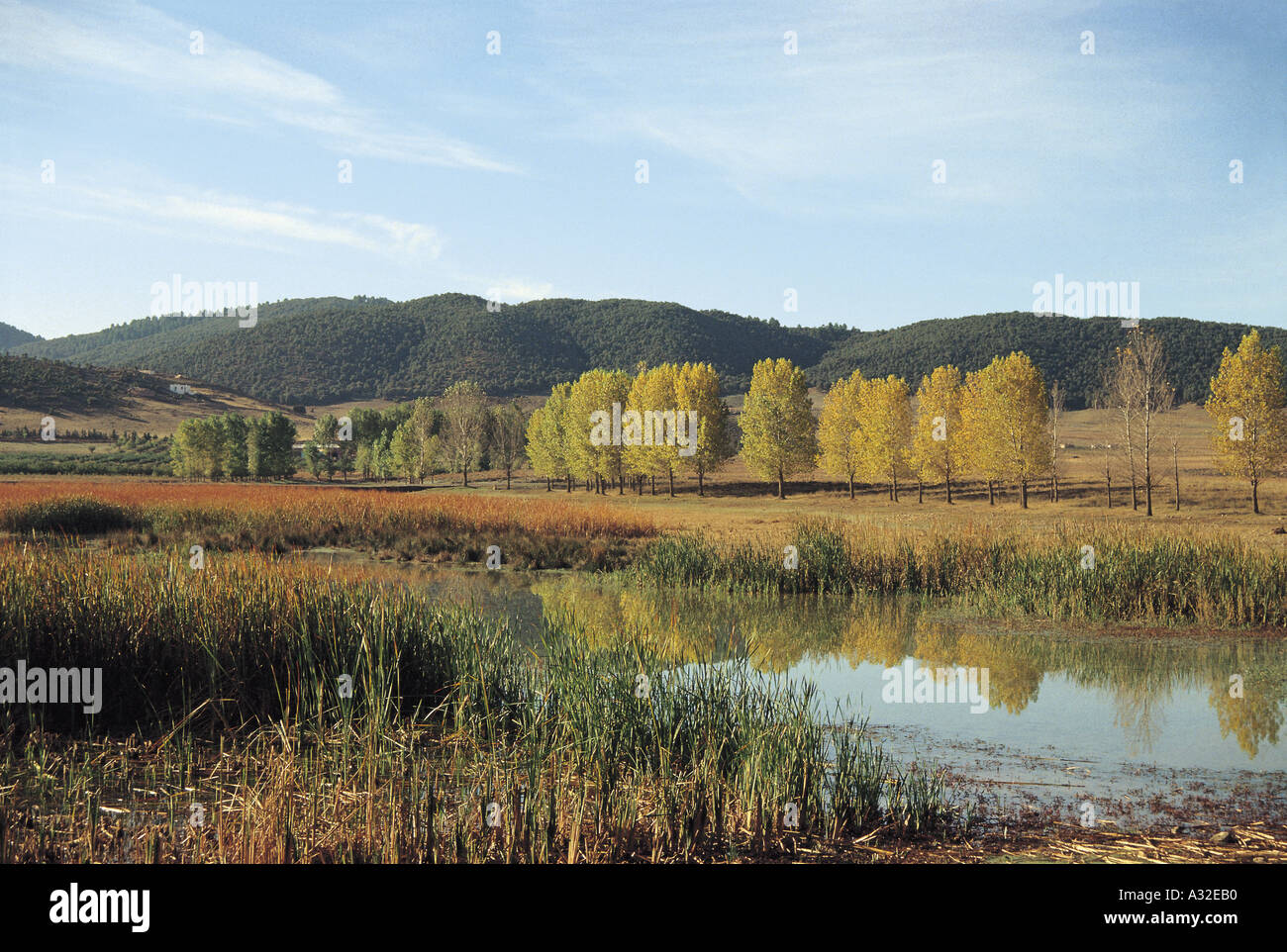 Dait hi-res stock photography and images - Alamy