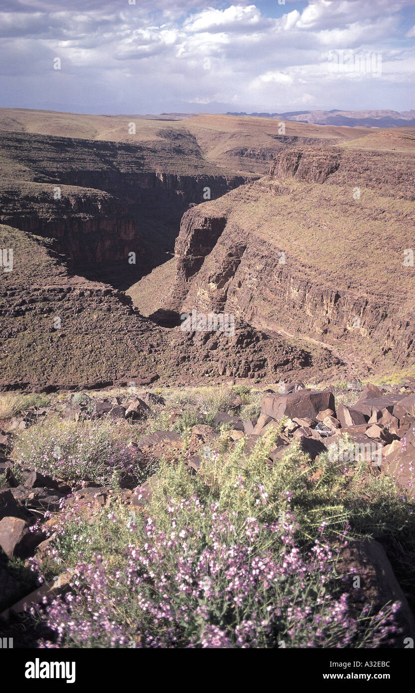 Draq hi-res stock photography and images - Alamy