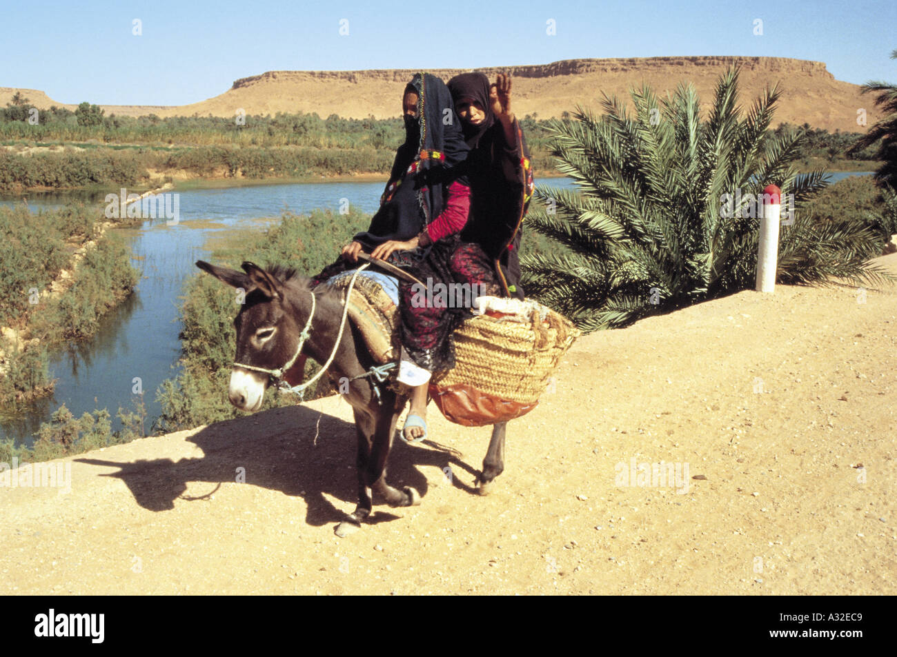 Two women riding a donkey in the Ziz Valley, Tafilalet, Morocco Stock ...