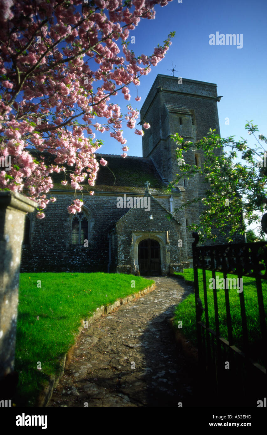 Spring colours at St Michaels church in Beer Hackett village in Dorset ...