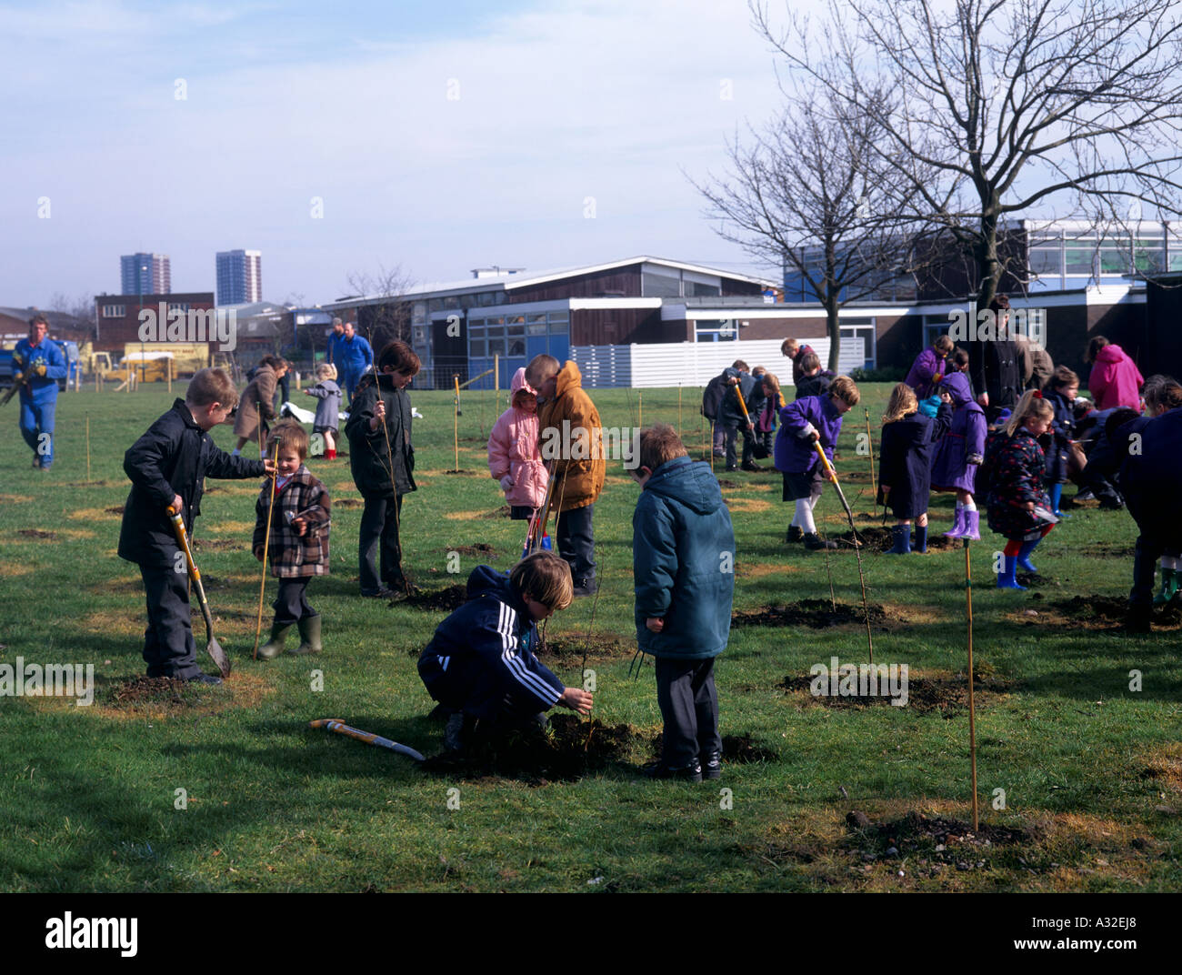 School children planting trees in playground Walsall West Midlands ...
