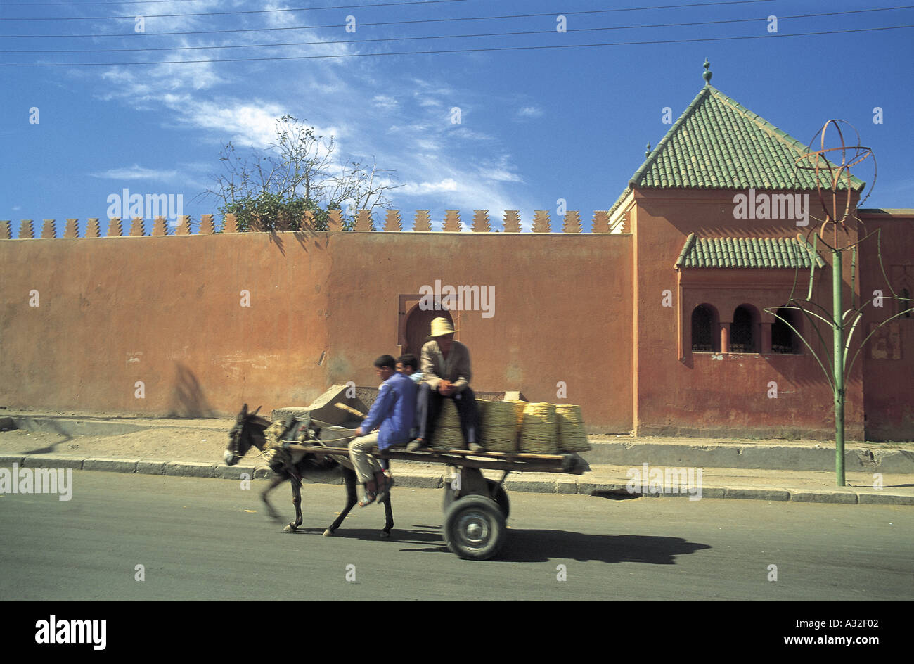 Donkey Cart transport n Marrakech, Morocco Stock Photo - Alamy