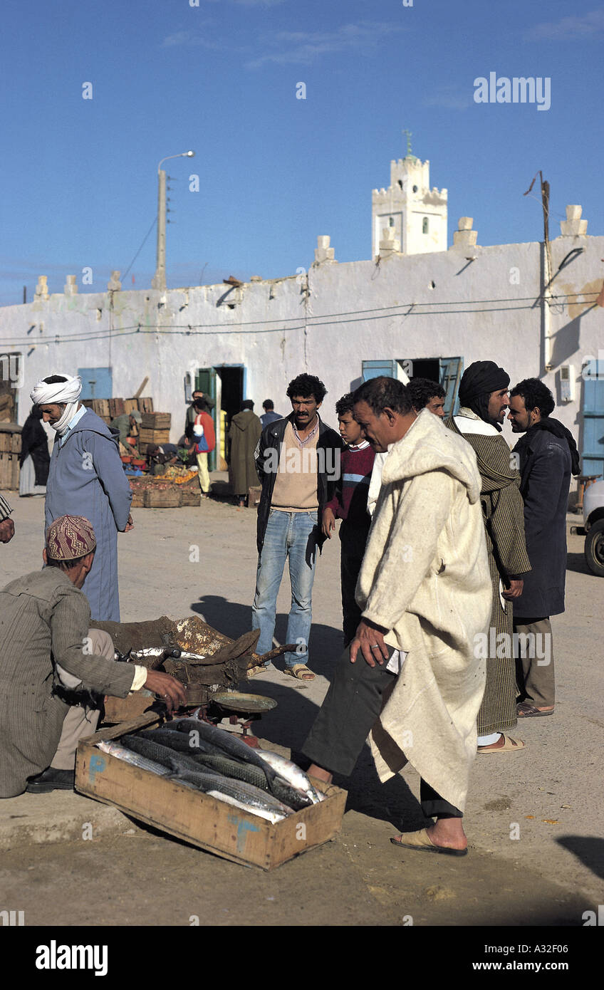 Shopping for fresh fish in the former Spanish port of Tarfaya in SW ...