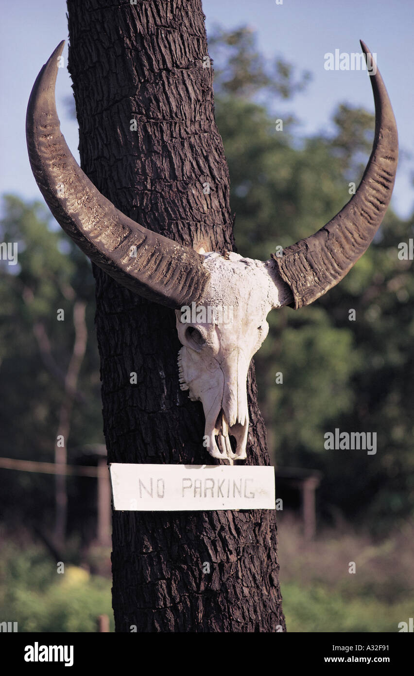 Skull australia northern territory hi-res stock photography and images ...