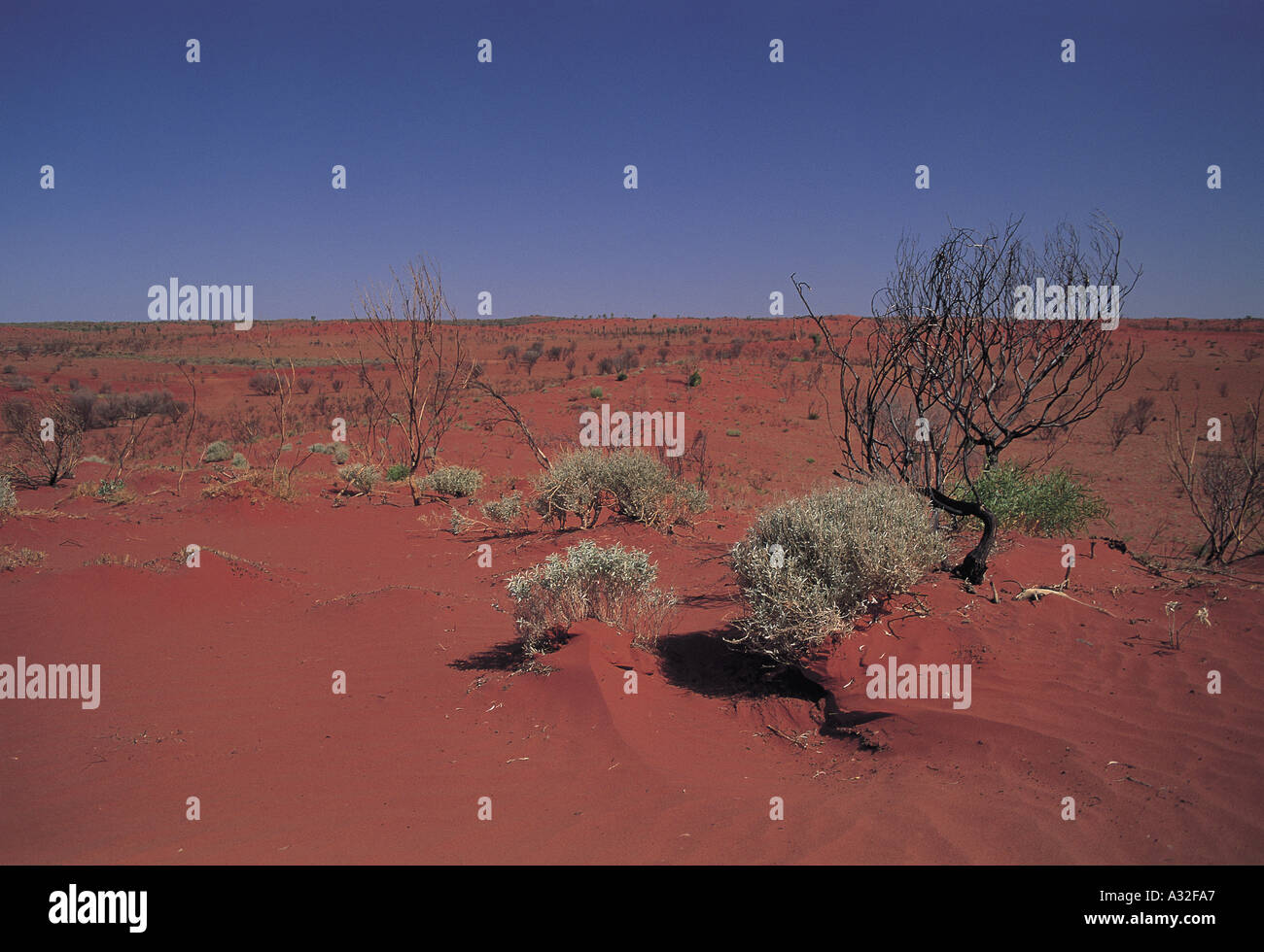 Australia simpson desert red sand hi-res stock photography and images ...