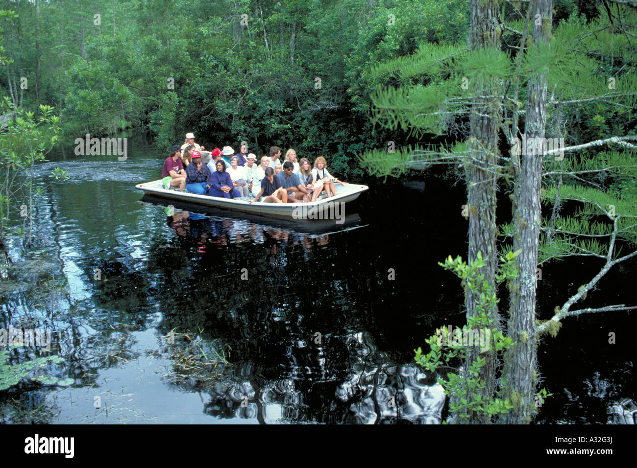 Okefenokee Swamp