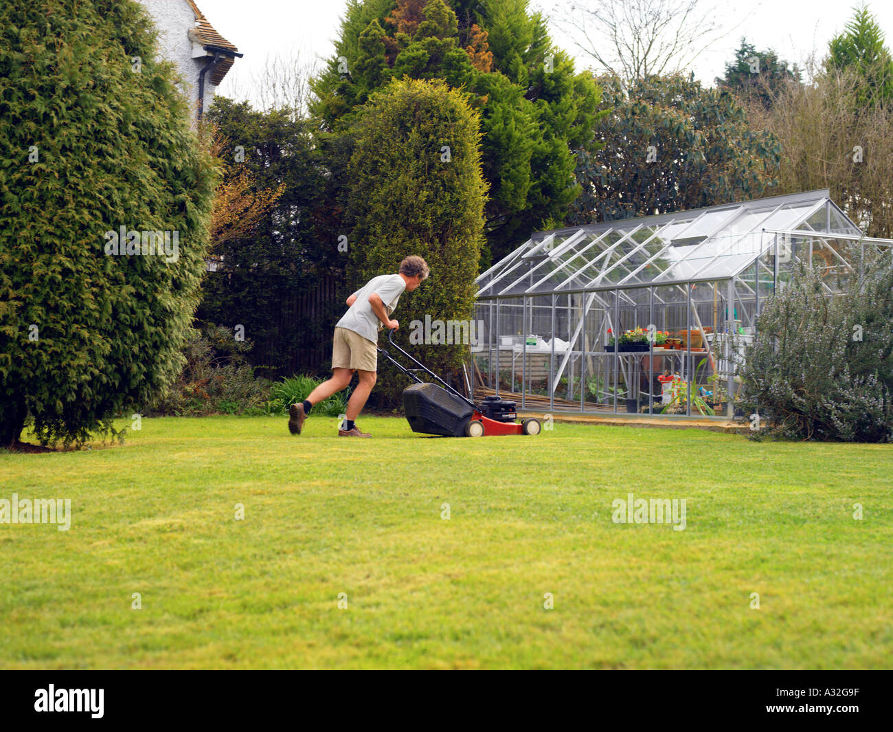 Man Pushing Lawnmower in Garden Stock Photo - Alamy