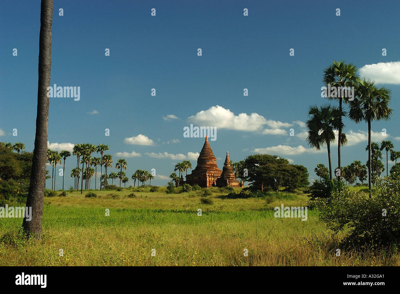 Bagan plain temples palm trees Bagan Burma Myanmar Stock Photo - Alamy