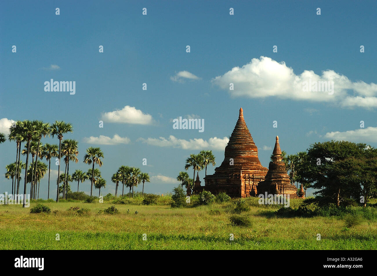 Bagan plain temples palm trees Bagan Burma Myanmar Stock Photo - Alamy