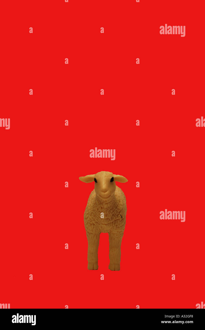 Genetically modified sheep hi-res stock photography and images - Alamy