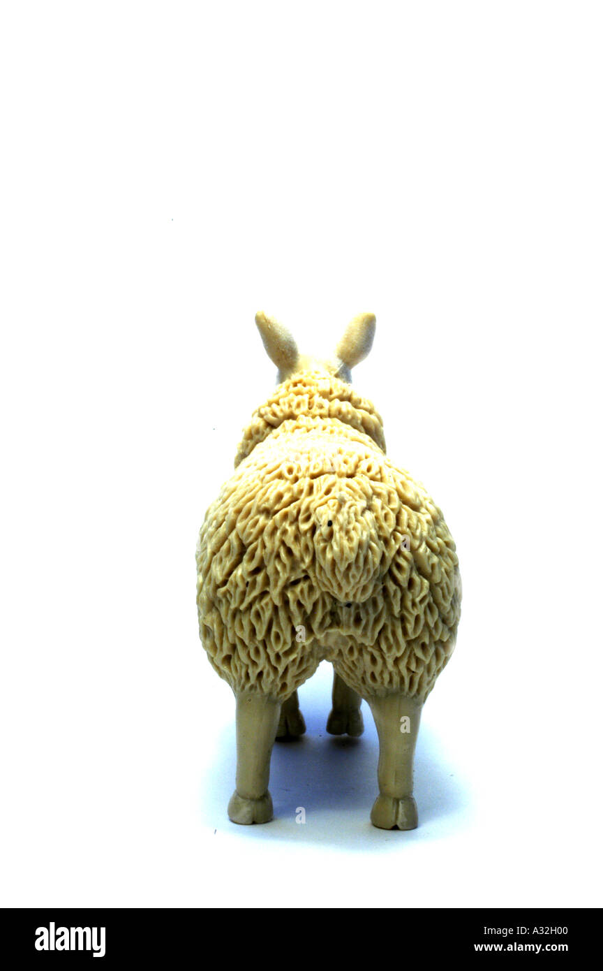 Sheep Rear End on White Background Stock Photo - Alamy