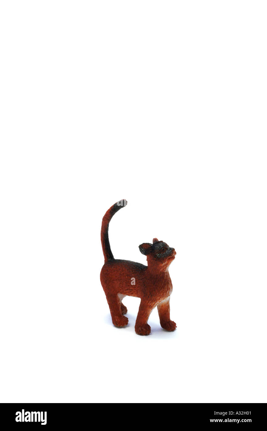 Plastic Cat Toy cut out Stock Photo - Alamy
