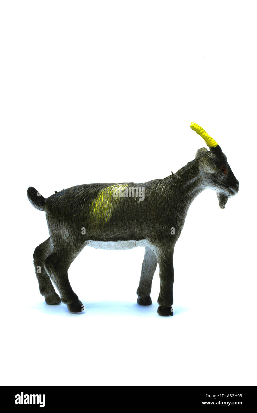 Goat side view High Resolution Stock Photography and Images - Alamy