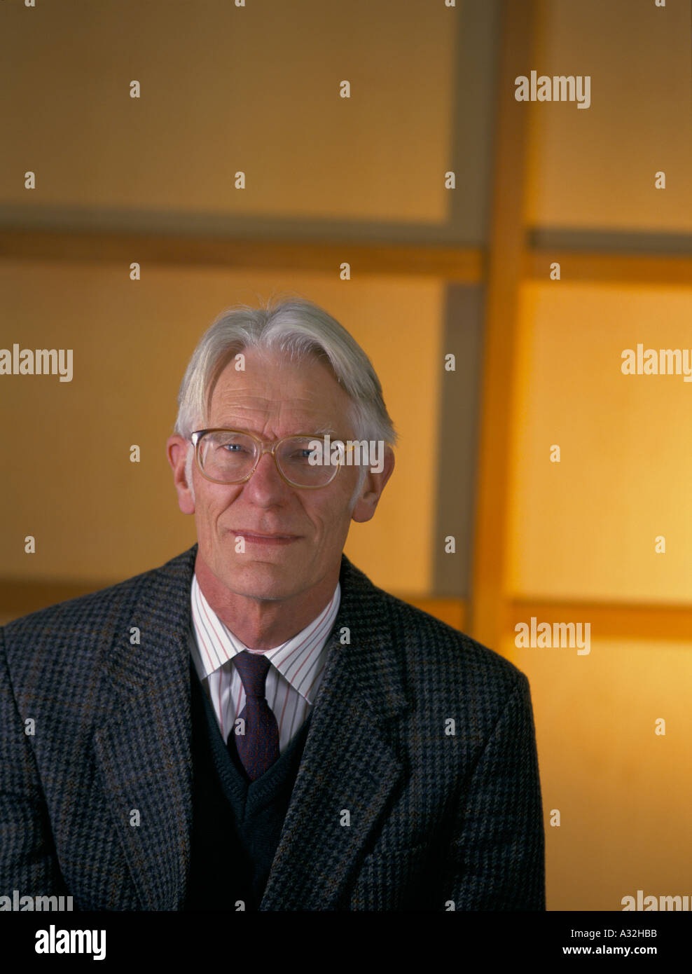 prof arthur stockwin head of nissan institute of japanese studies ...