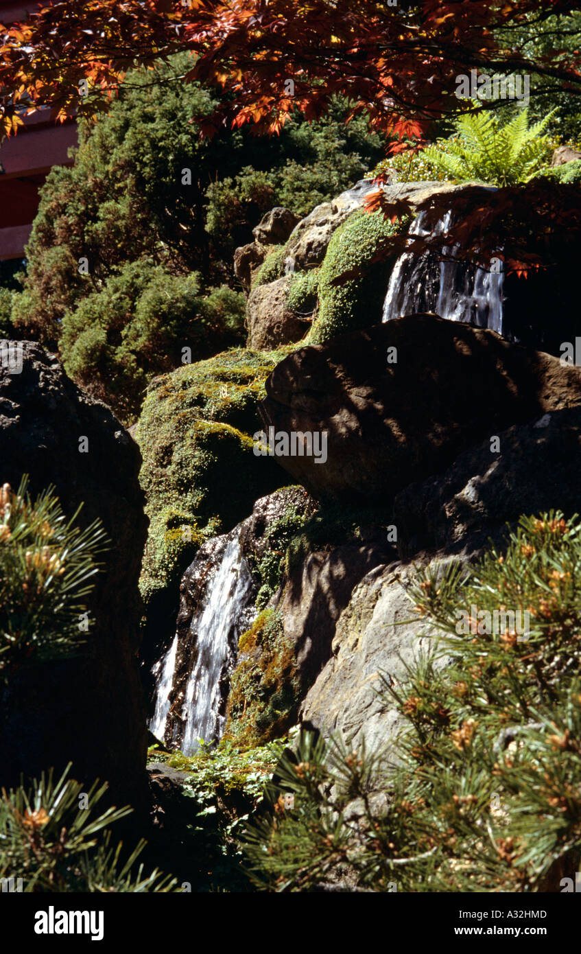 The essence of nature - waterfall in a Japanese tea garden Stock Photo ...