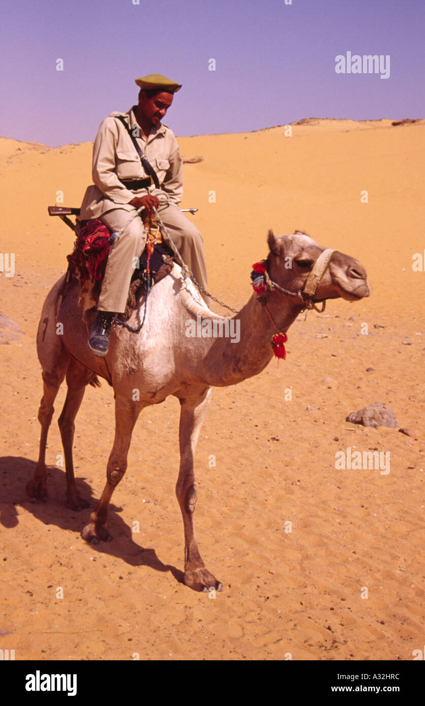 Local egyptian on camel hi-res stock photography and images - Alamy